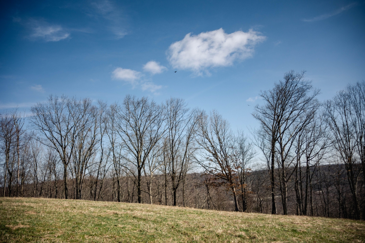 Why Nature Makes Us Feel Better – GlampLyfe